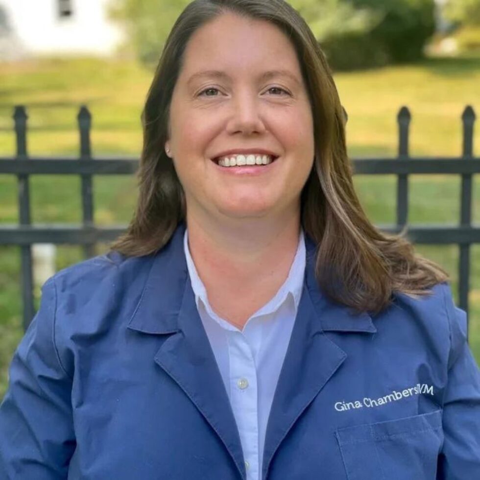 Veterinarian Gladwyne, PA – Gladwyne Animal Hospital