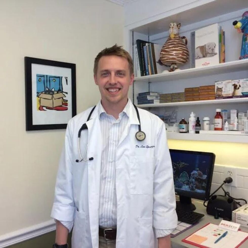 Veterinarian In Gladwyne, PA 19035 | Gladwyne Animal Hospital
