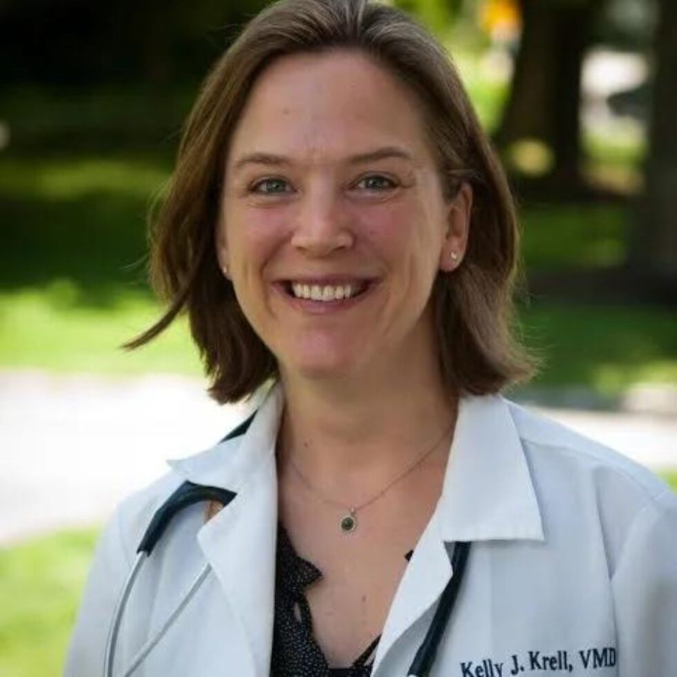 Veterinarian In Gladwyne, PA 19035 | Gladwyne Animal Hospital